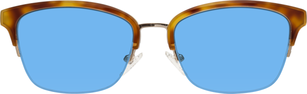 Tortoise/Gold Retro-Vintage Oval Semi-Rimless Tinted Sunglasses with ...