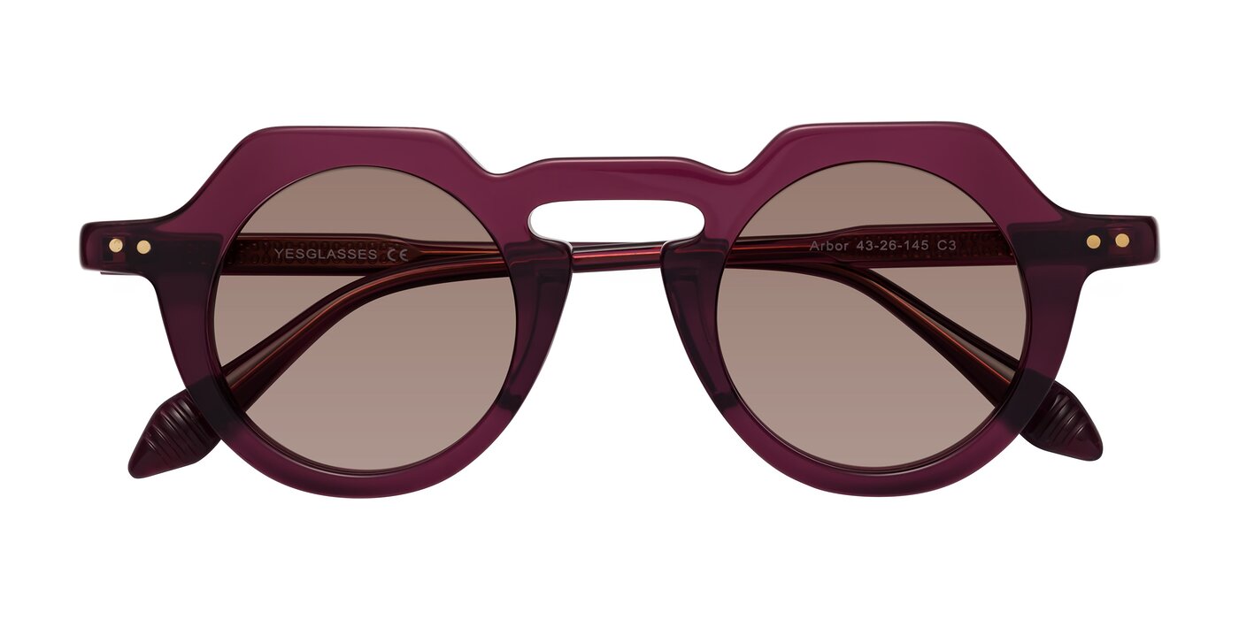 Deep Purple Keyhole Bridge Retro-Vintage Round Tinted Sunglasses with ...