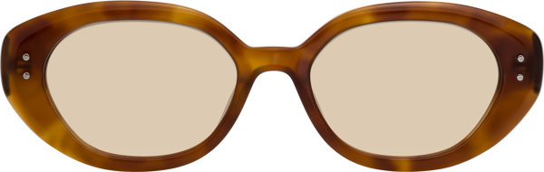 Amber Tortoise Geek-Chic Acetate Oval Tinted Sunglasses with Light ...