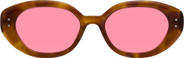 Amber Tortoise Geek-Chic Acetate Oval Tinted Sunglasses with Pink ...