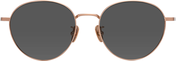 Rose Gold Retro-Vintage Titanium Round Tinted Sunglasses with Medium ...