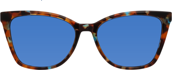 Floral Tortoise Spring Hinges Acetate Cat-Eye Tinted Sunglasses with ...