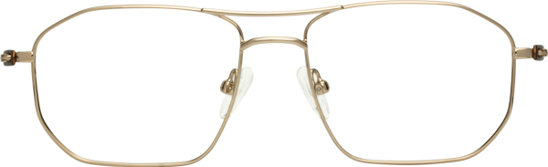 Gold/Brown Double Bridge Metal Geometric Eyeglasses - Cress