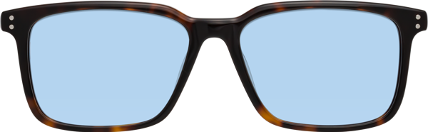 Tortoise/Caramel Classic Acetate Rectangle Tinted Sunglasses with Light ...