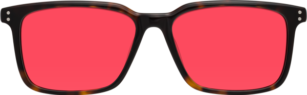 Tortoise/Caramel Classic Acetate Rectangle Tinted Sunglasses with Red ...