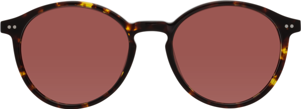Tortoise Keyhole Bridge Classic Round Tinted Sunglasses with Garnet ...