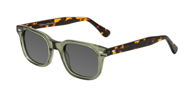 Grayish Green/Tortoise Classic Acetate Rectangle Tinted Sunglasses with ...