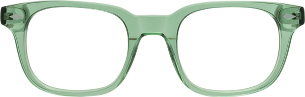 Transparent Green Classic Acetate Rectangle Eyeglasses - Raemo