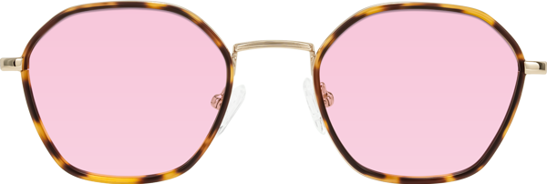 Leopard-Print/Gold Retro-Vintage Windsor Geometric Tinted Sunglasses ...