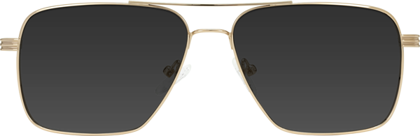 Gold Double Bridge Grandpa Square Tinted Sunglasses with Gray Sunwear ...