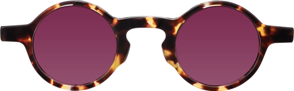 Tortoise Narrow Retro-Vintage Round Tinted Sunglasses with Wine Sunwear ...