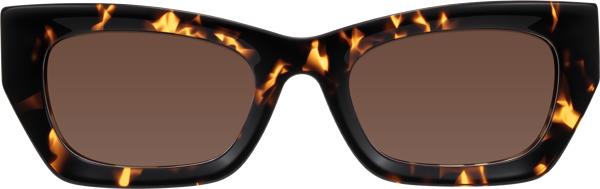 Tortoise Thick Acetate Rectangle Tinted Sunglasses with Brown Sunwear ...