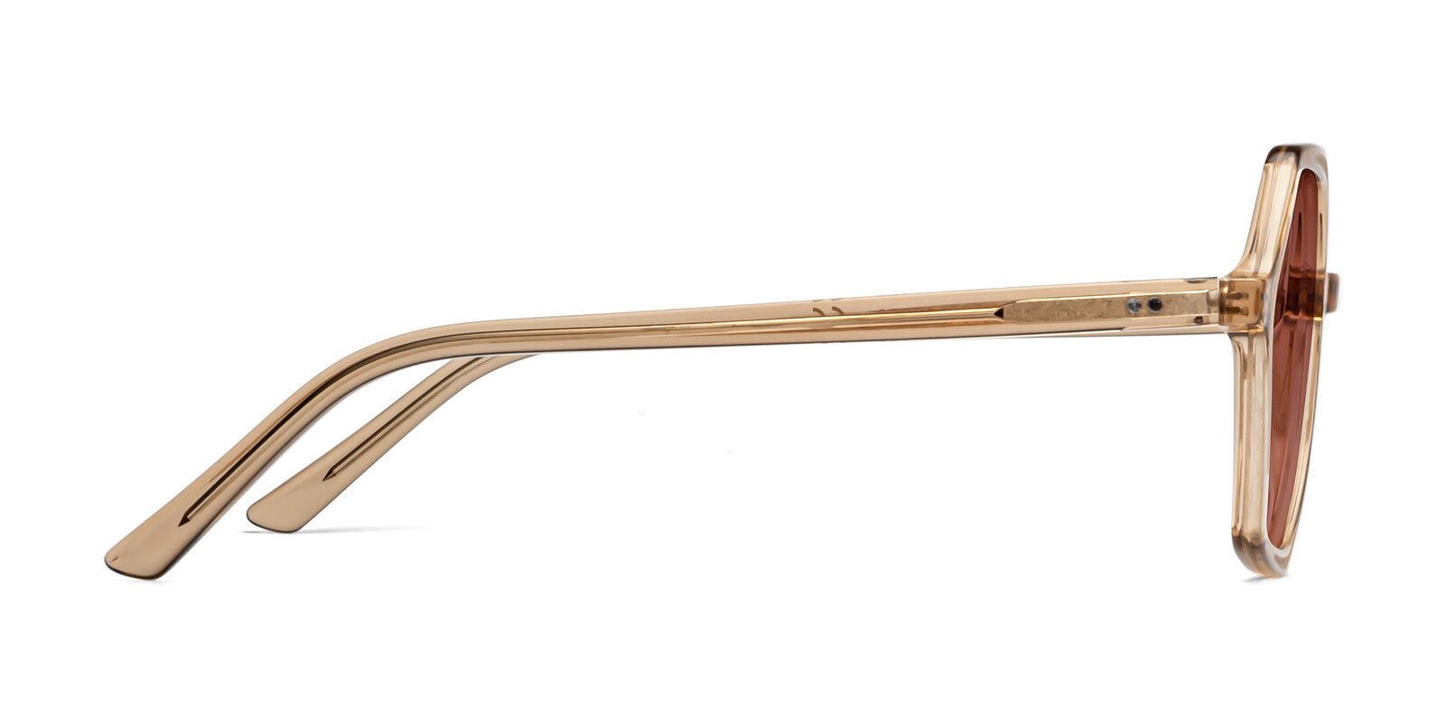 Light Brown Geek-Chic Acetate Geometric Tinted Sunglasses with Garnet ...