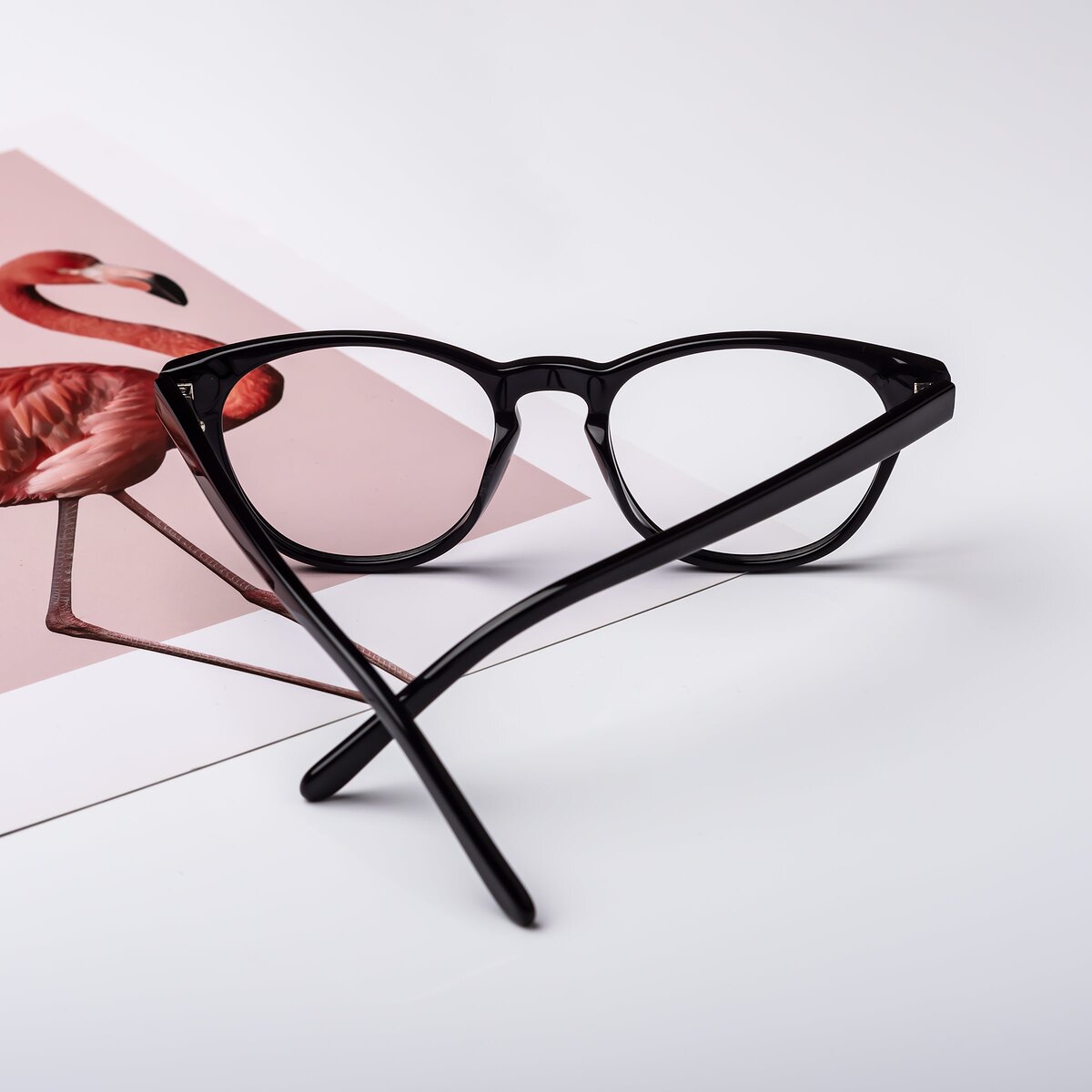 Black Retro-Vintage Classic Acetate Eyeglasses - Blaze