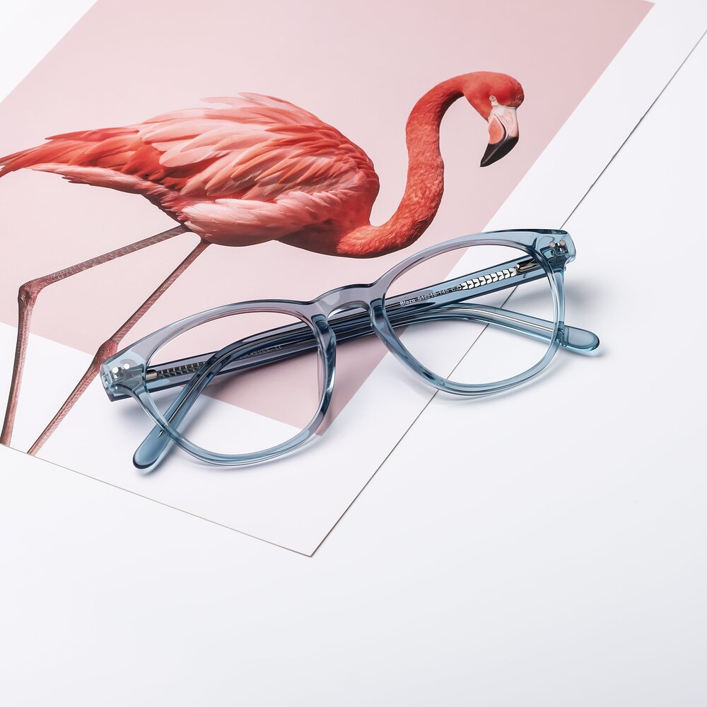 Light Blue Retro-Vintage Classic Acetate Eyeglasses - Blaze