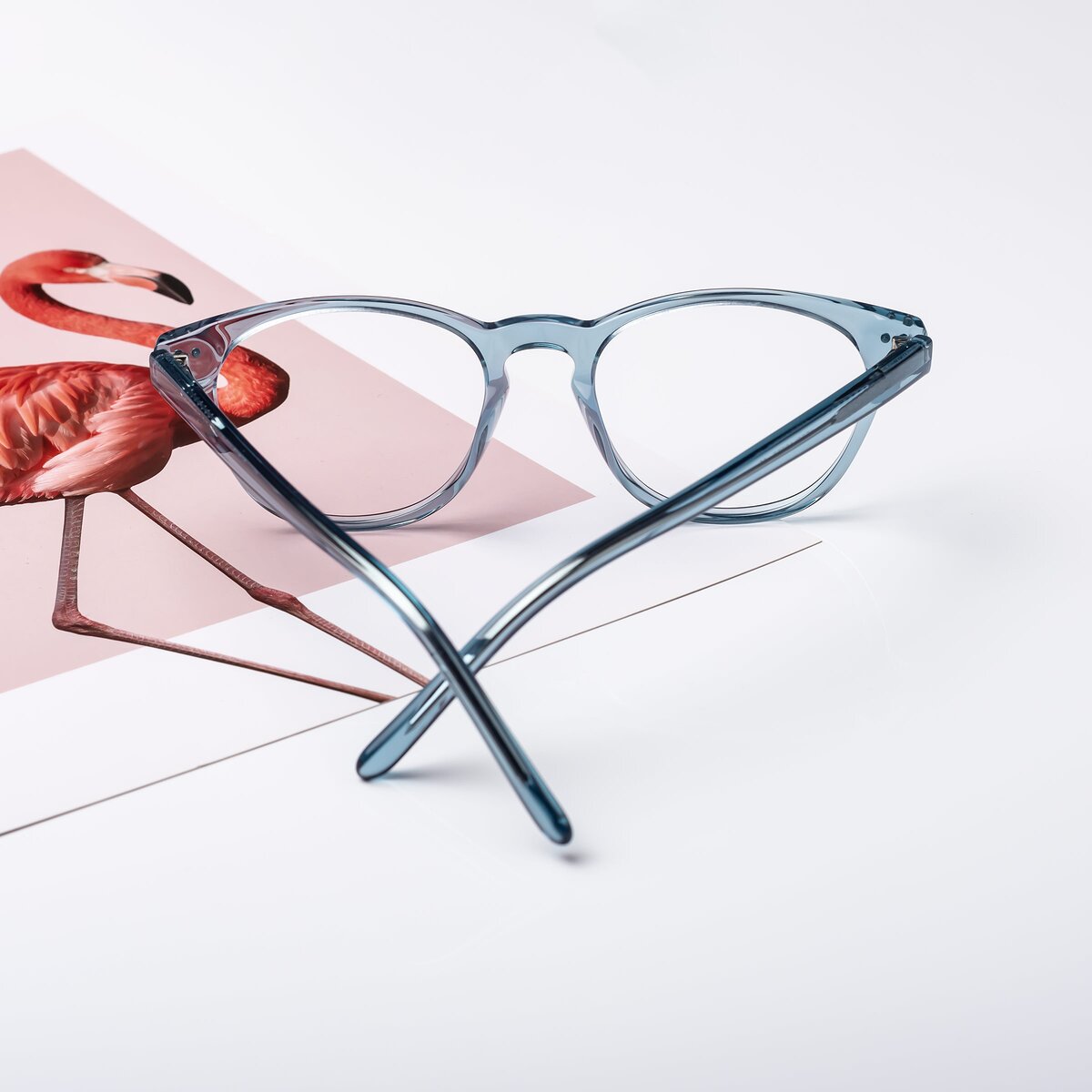 Light Blue Retro-Vintage Classic Acetate Eyeglasses - Blaze