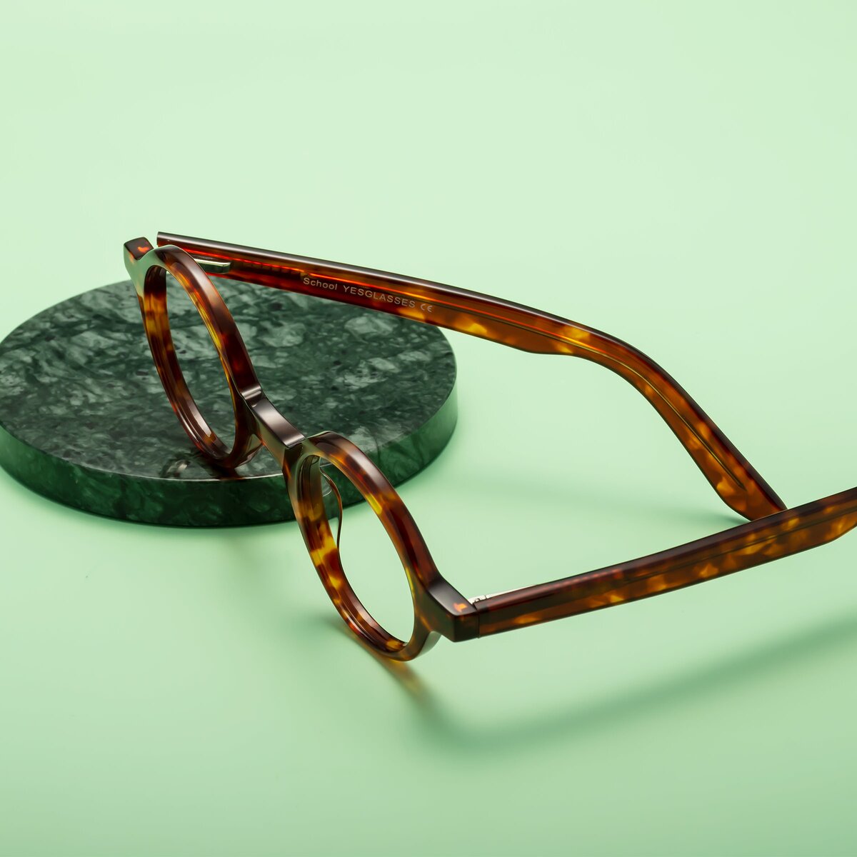 Tortoise Retro-Vintage Acetate Round Eyeglasses - School