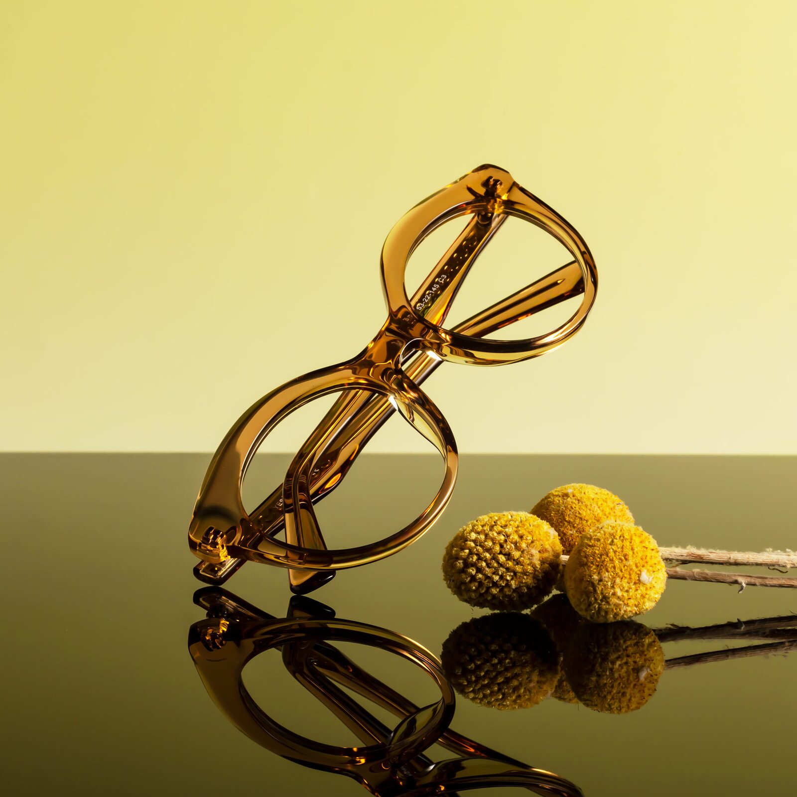 Translucent Brown Hipster Acetate Cat-Eye Eyeglasses - Barbie